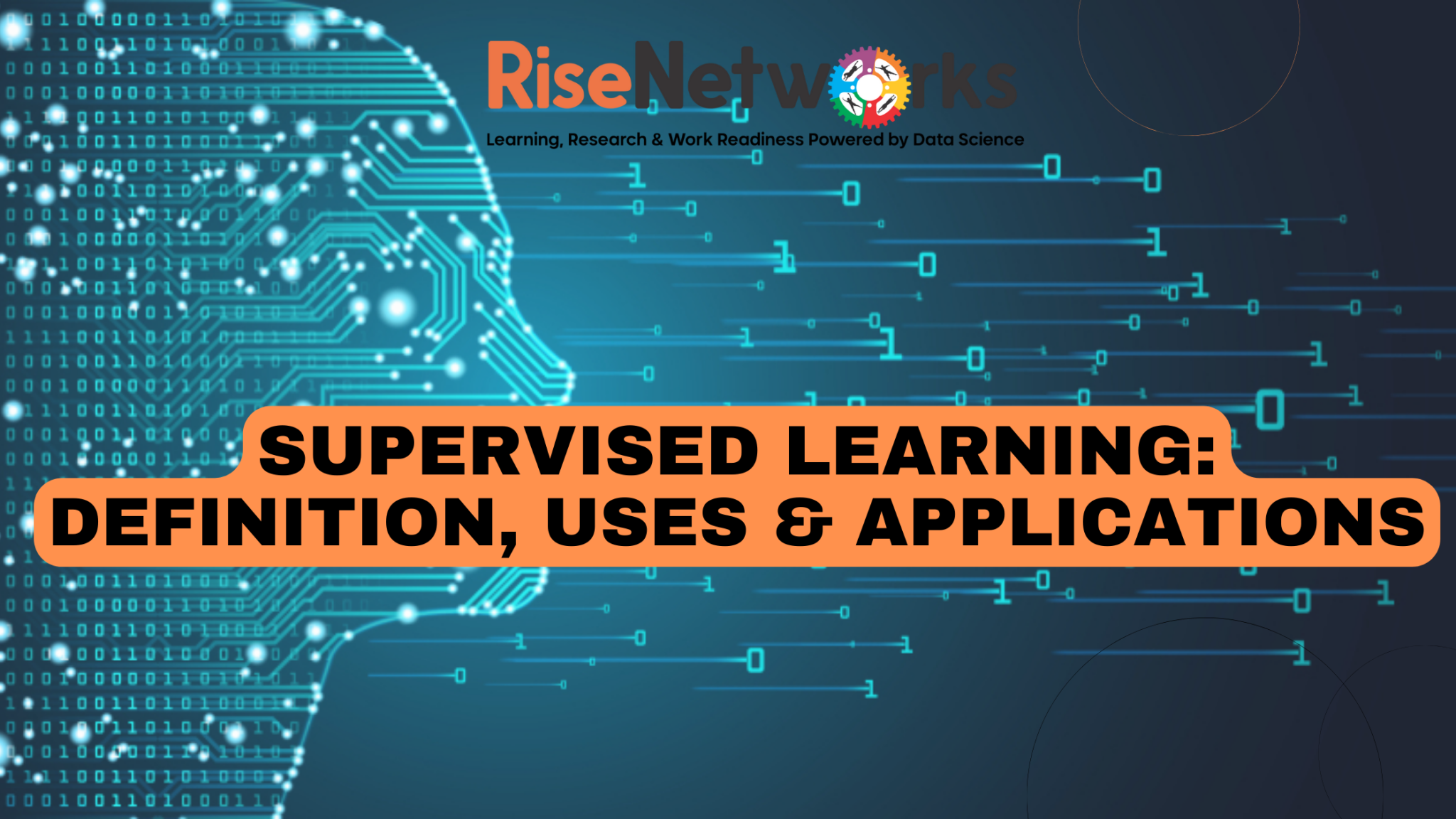 Supervised Learning: Definition, Uses and application - Rise Networks